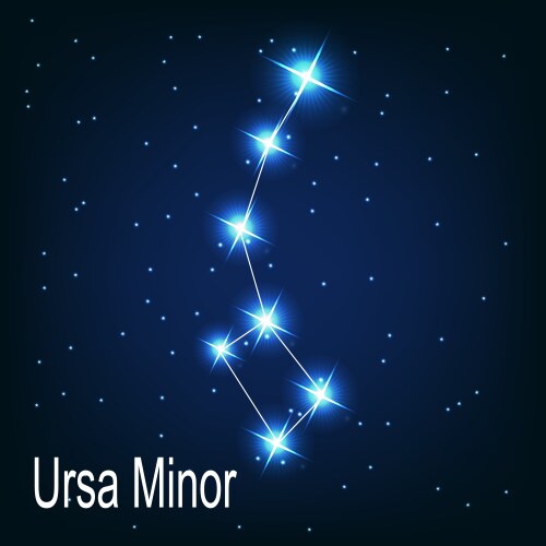 Ursa Minor Vector Images (over 100)