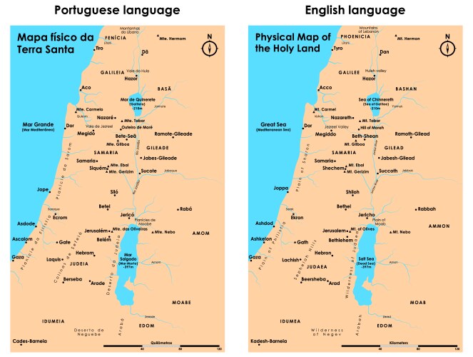 Israel map Royalty Free Vector Image - VectorStock