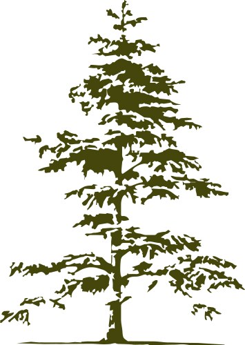 Abstract cedar tree icon Royalty Free Vector Image