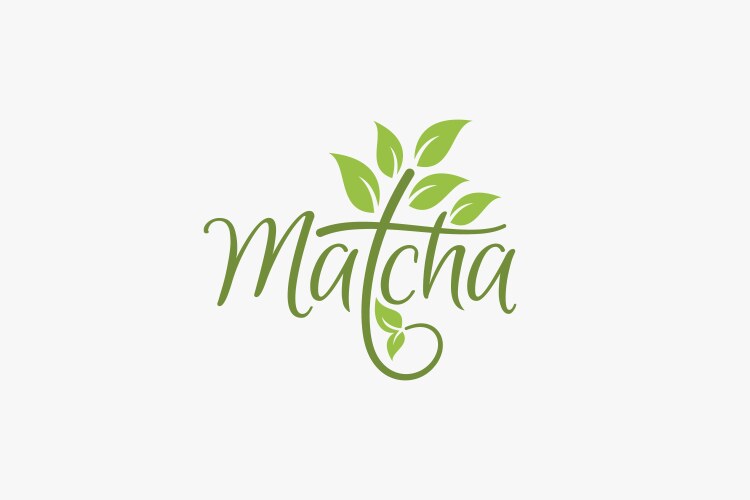 Matcha logo with a combination of a cup of matcha Vector Image