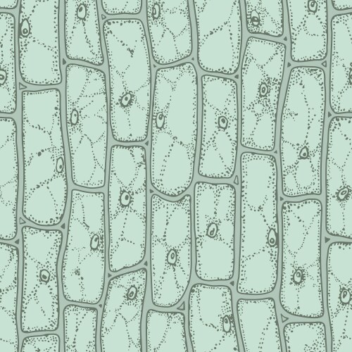 Plant Cell Vector Images (over 10,000)