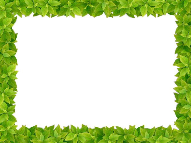 Square frame of leaves Royalty Free Vector Image