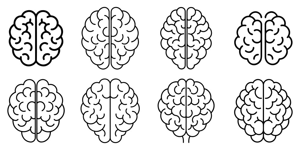 Refresh Brain Vector Images (over 480)