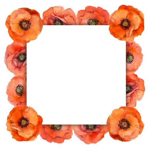 Watercolor hand drawn square frame of red Vector Image