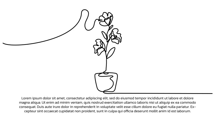 One line botanical flower poster drawing Vector Image