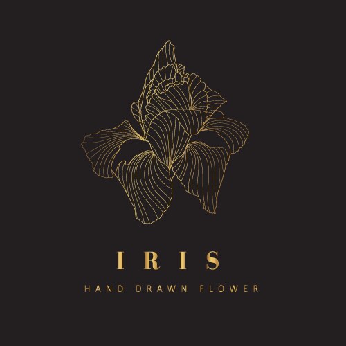 Iris Logo Vector Images (over 6,400)