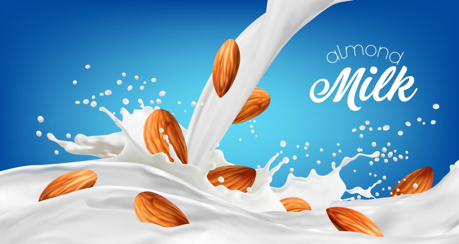 Almond milk Royalty Free Vector Image - VectorStock