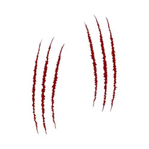 Blood scratch claws mark of wild animal monster Vector Image