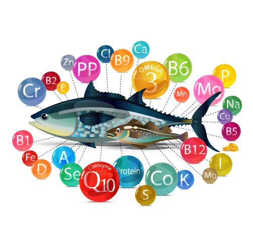 Magnesium Benefits Vector Images (over 130)