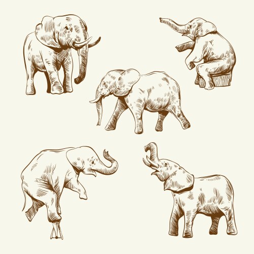 Elephant Vector Images (over 87,000)