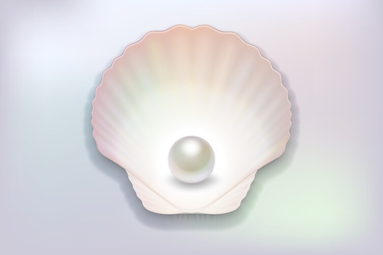 Open Seashell Vector Images (over 1,400)