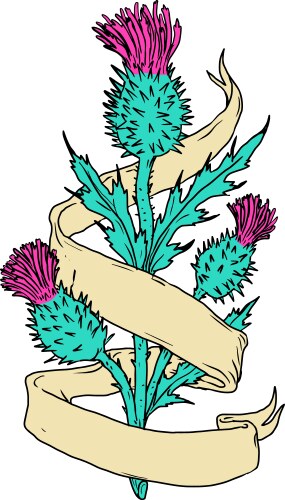 Scottish Thistle Vector Images (over 310)