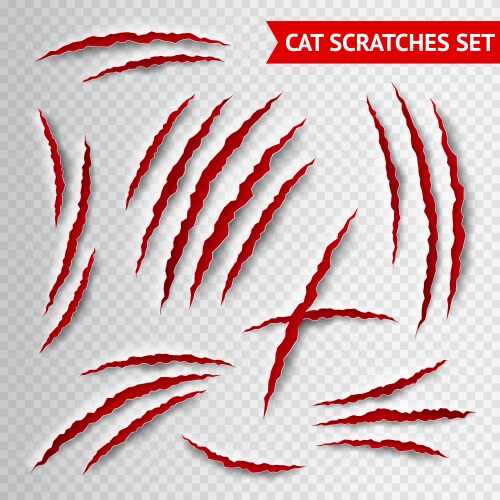 Cat Vector Images (over 410,000)