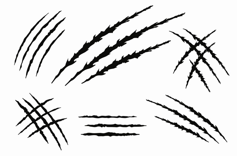 Claw Marks Vector Images (over 3,000)