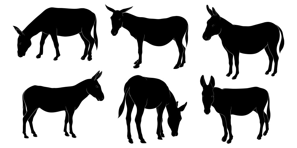 Donkey outline Vector Images & Graphics for Commercial Use | VectorStock