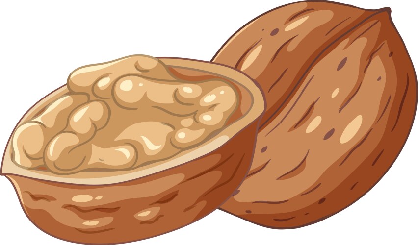 Walnuts icon cartoon style Royalty Free Vector Image