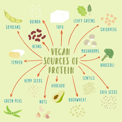 Protein Vector Images (over 100,000)