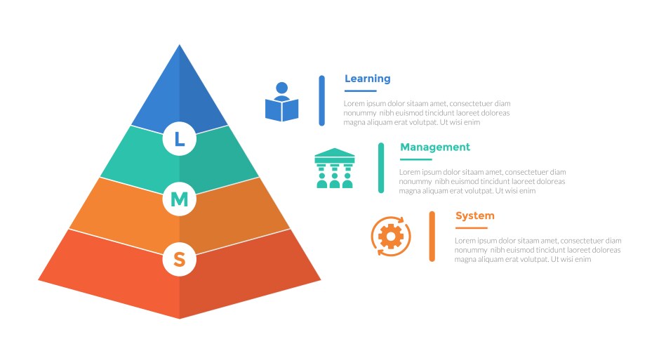 Lms learning management system infographics Vector Image
