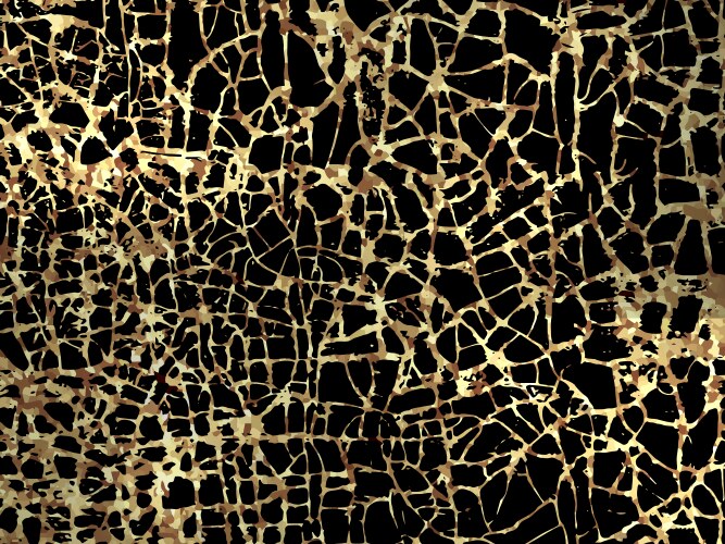 Crack texture scratch distress marble pattern old Vector Image