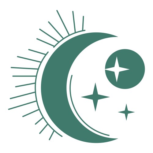 Magic black moon with stars and crystals on white Vector Image