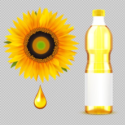 Sunflower cooking oil Royalty Free Vector Image