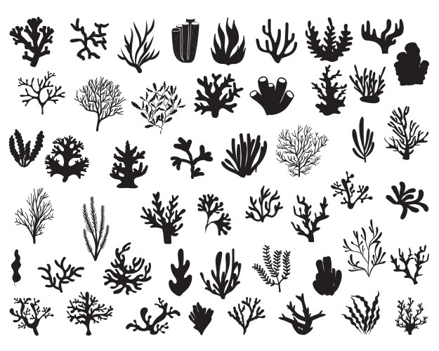 Coral Silhouette Vector Images (over 10,000)