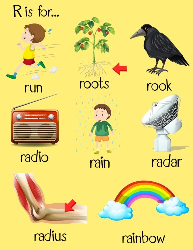 Many words begin with letter r Royalty Free Vector Image