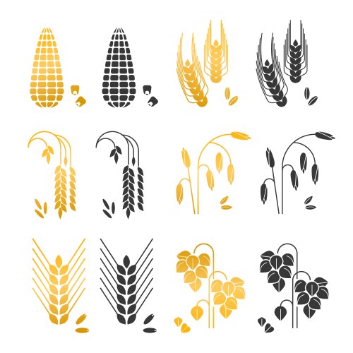 Realistic cereal grains and oil seeds set Vector Image