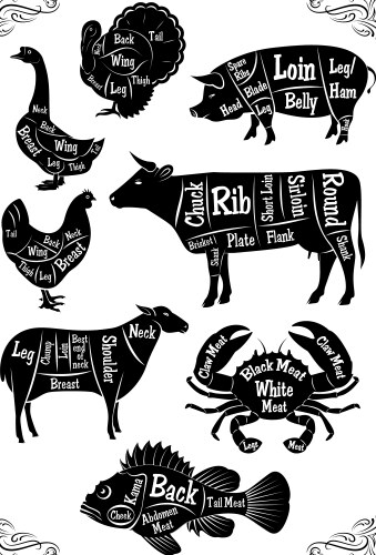 Cow Diagram Vector Images (over 1,100)