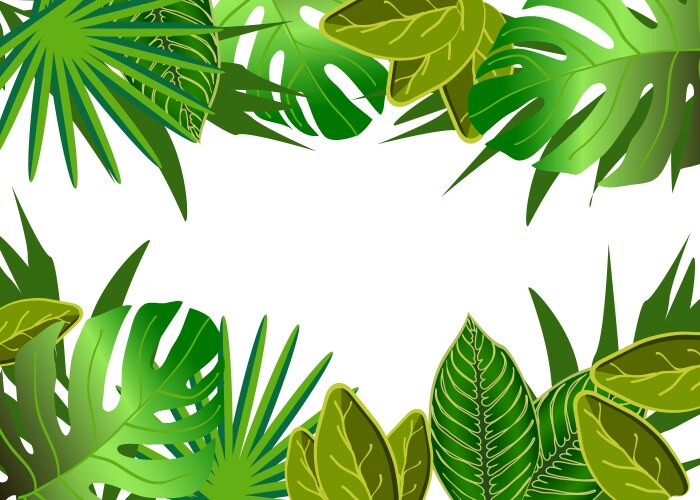 Cartoon tropical jungle background Royalty Free Vector Image