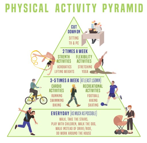 Physical activity pyramid infographics Royalty Free Vector