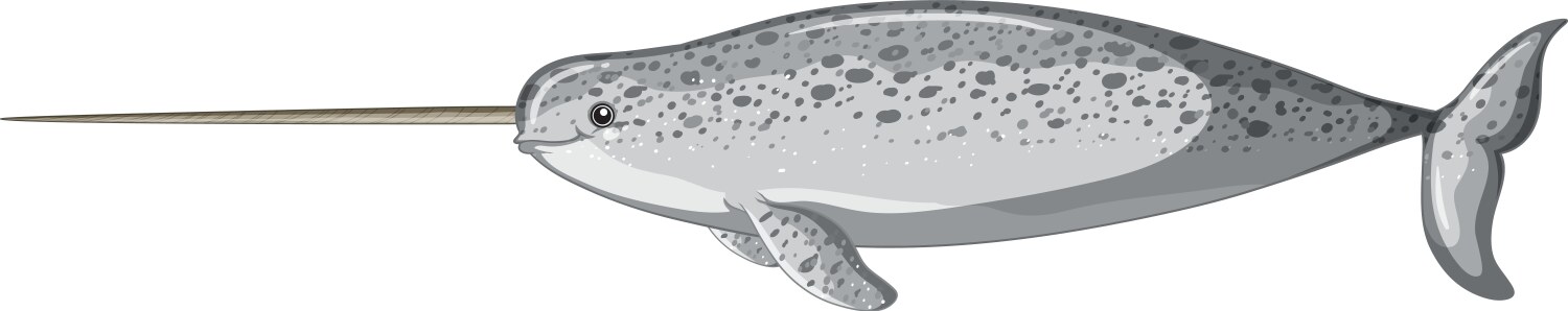 Narwhal Vector Images (over 2,800)