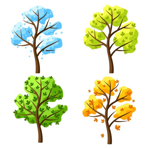 Four seasons tree Royalty Free Vector Image - VectorStock
