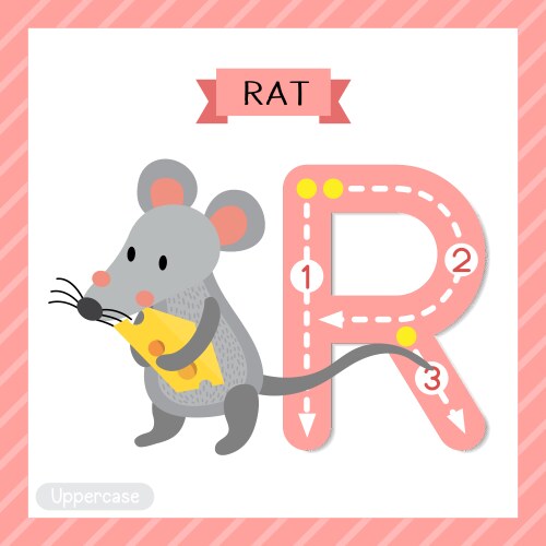 Letter m uppercase tracing mouse holding cheese Vector Image