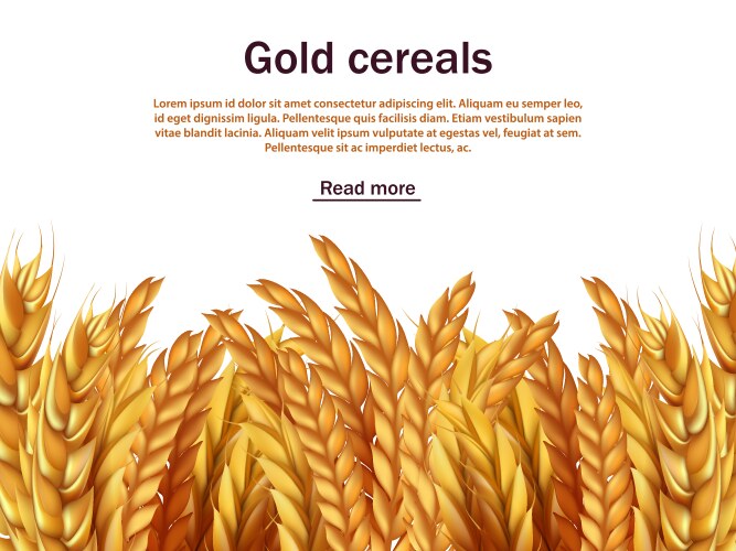 Cereal Vector Images (over 62,000)