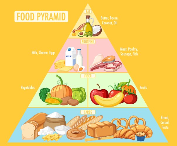 Healthy Eating Pyramid Clip Art