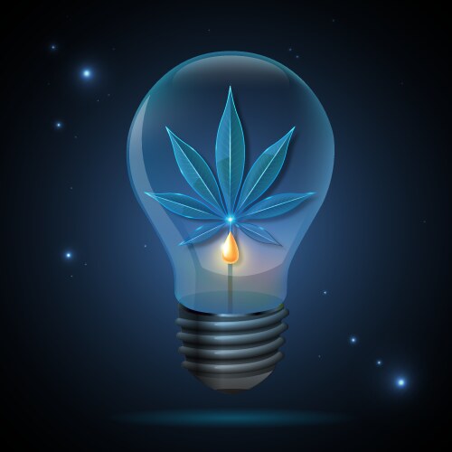 Cannabis Leaf with Transparent Background Vector Images (over 330)