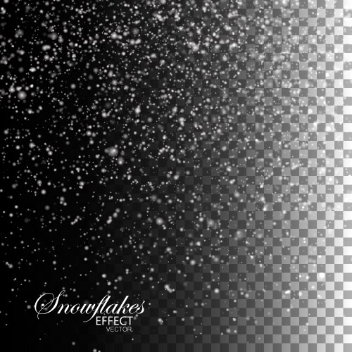 Falling snow isolated on transparent background Vector Image