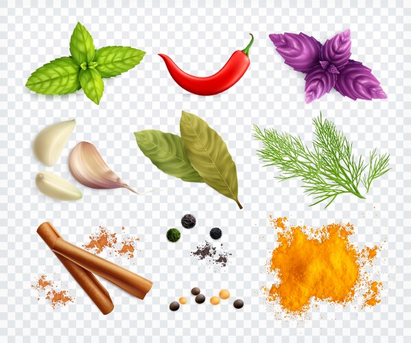 Indian Spices Vector Images (over 6,400)