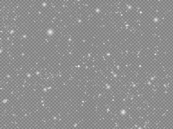 Realistic falling snowflakes isolated Royalty Free Vector