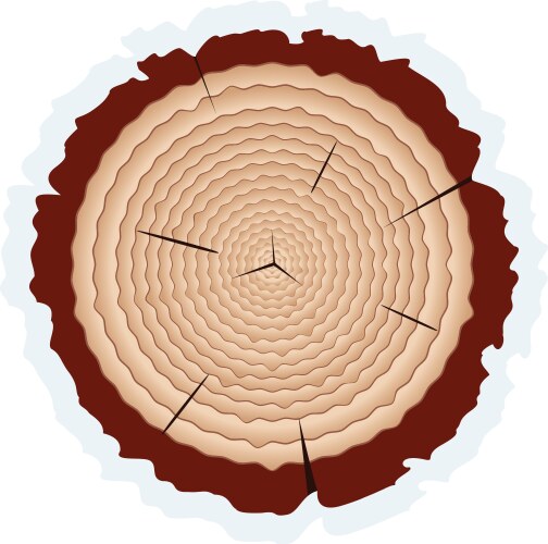 Wooden log cut Royalty Free Vector Image - VectorStock