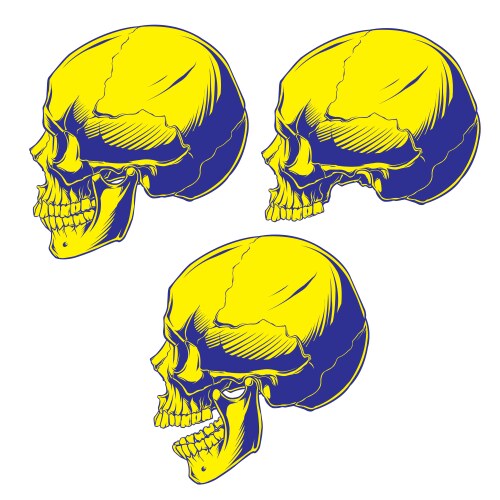 Skull Side Vector Images (over 1,100)