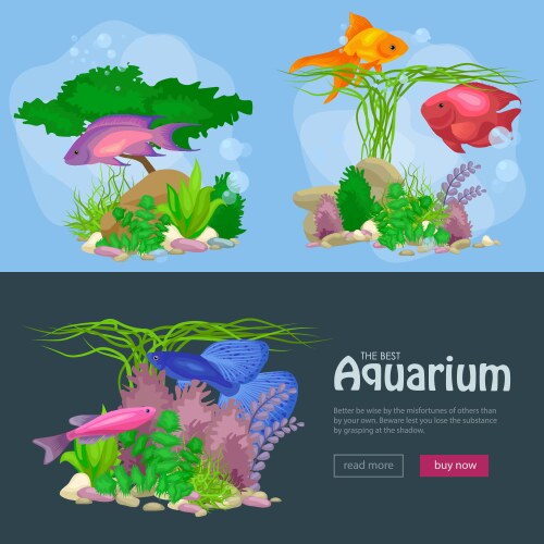 Aquarium fish seaweed underwater banner template Vector Image