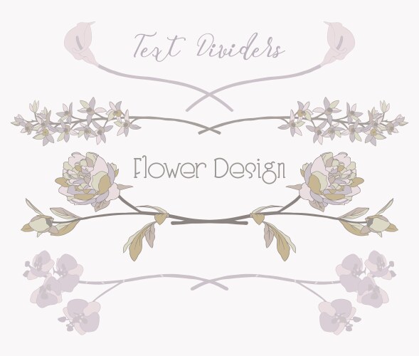 Colorful floral text dividers flower Royalty Free Vector