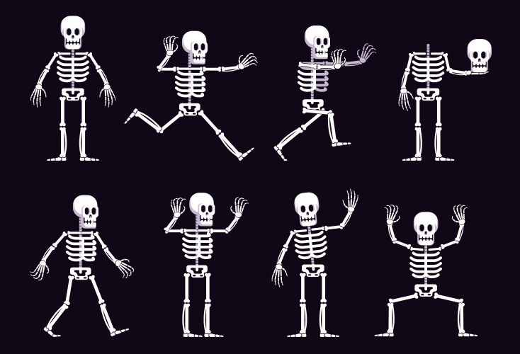 Skeleton practicing yoga Royalty Free Vector Image