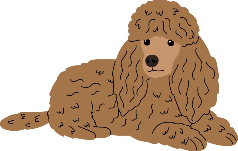 Poodle Vector Images (over 8,800)