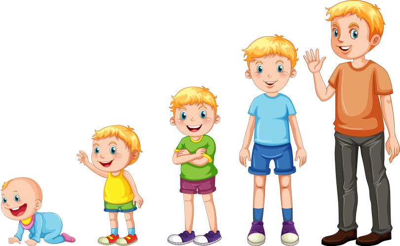 Human Growth Vector Images (over 59,000)