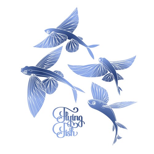 Flying Fish Vector Images (over 11,000)