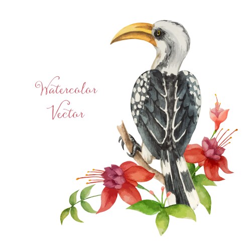 Watercolor toucan Royalty Free Vector Image - VectorStock