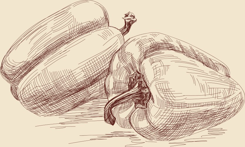 Pepper Background Vector Images (over 54,000)